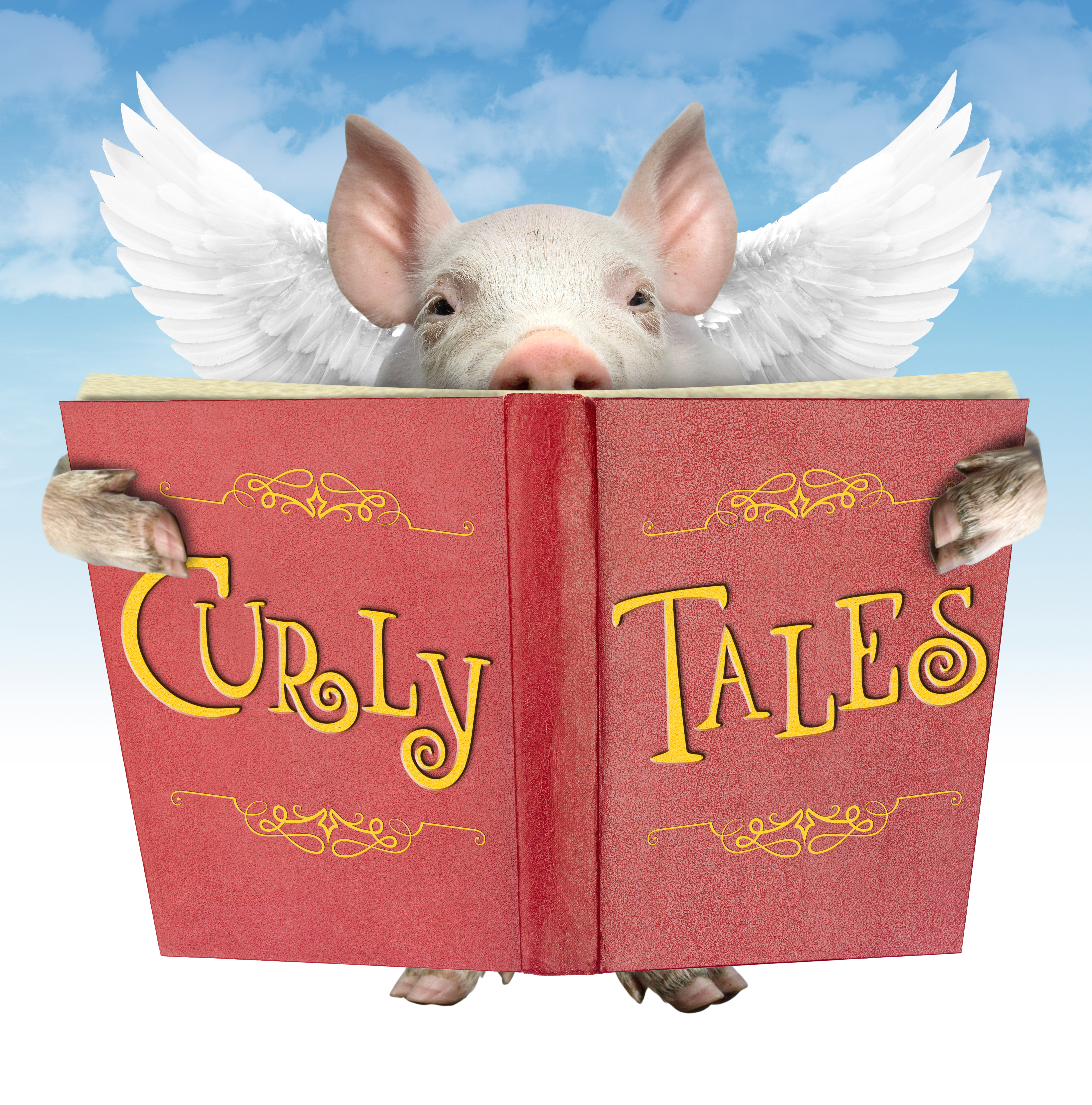Pigs Do Fly Productions presents CURLY TALES ~ March 11-27 at Empire ...